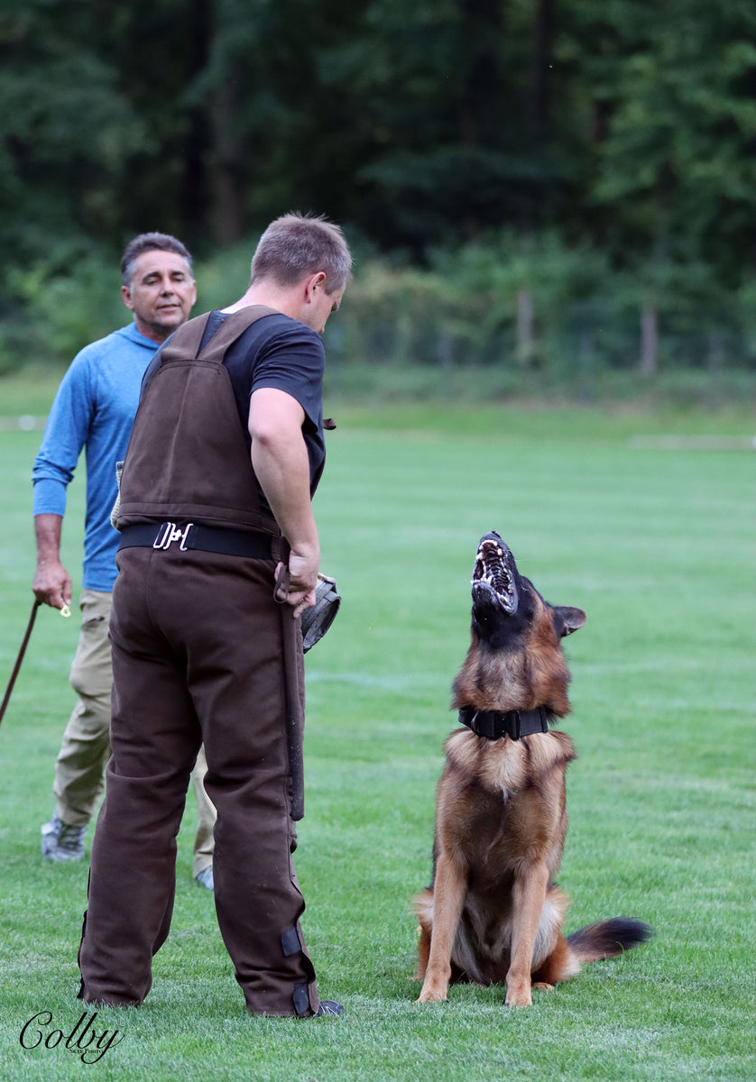 IGP Check List – Canine Extreme Store